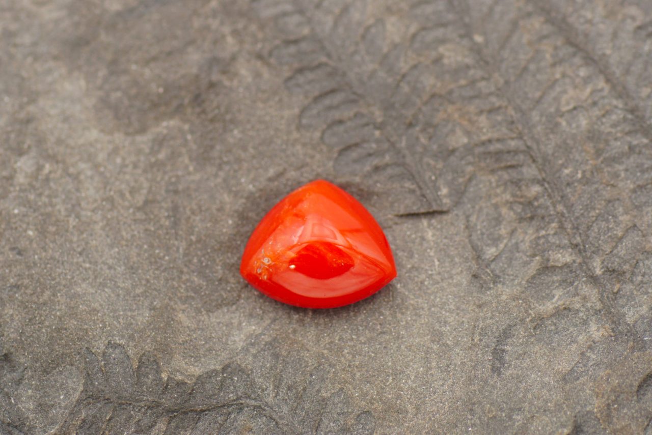 Corail(5) pierre semi precieuse- Coquillou Frederick